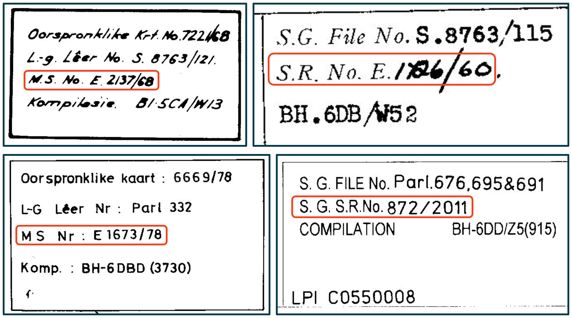 How do I access survey records?