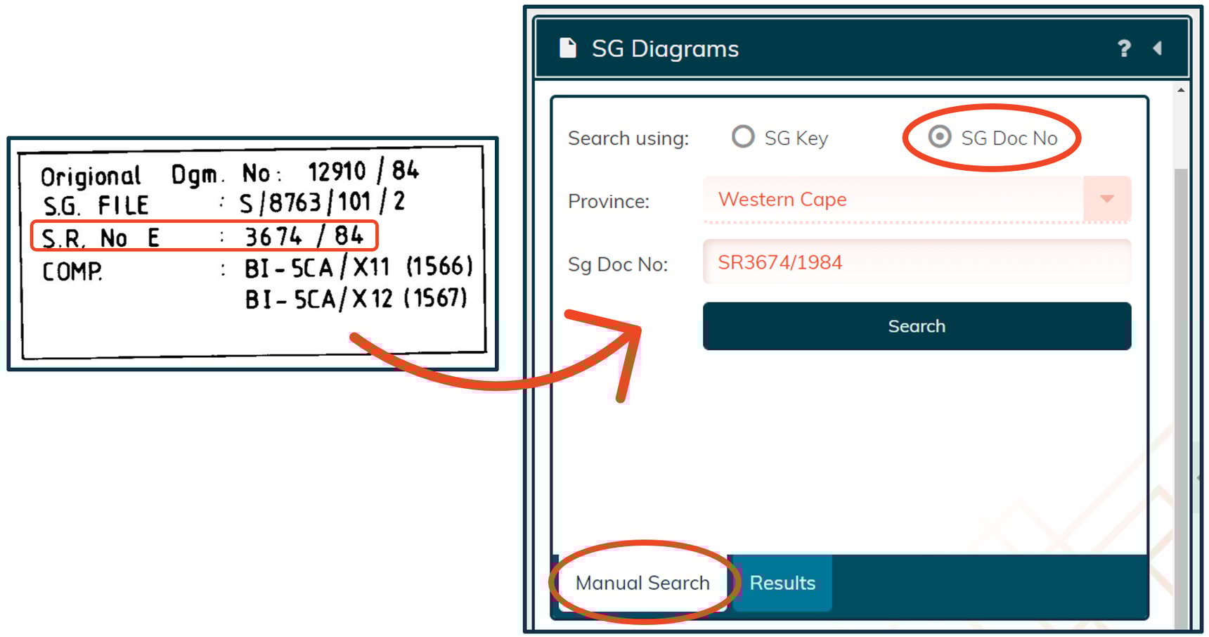 How do I access survey records?